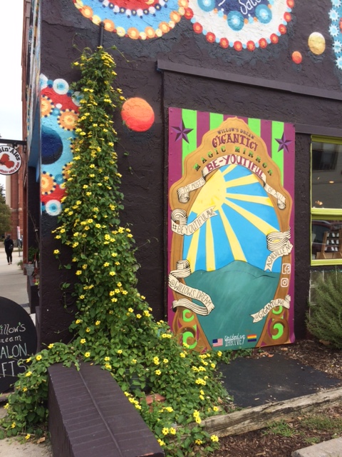 summer flowers | Patsy Pridgen